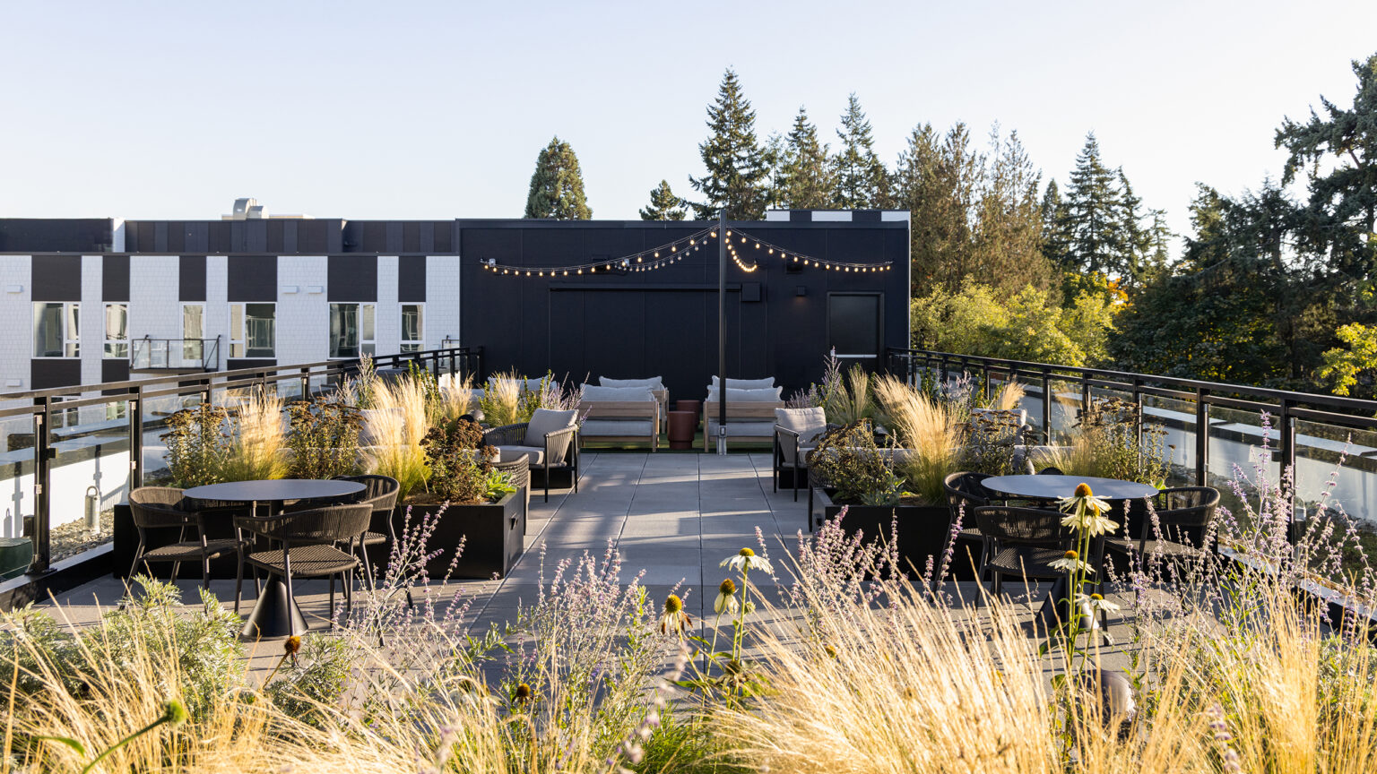 Canopy - Shea Properties